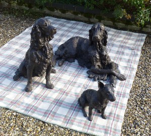 Dog Show Archives - The Red Dot Gallery