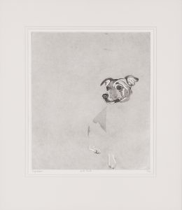 Guy Allen - The Red Dot Gallery