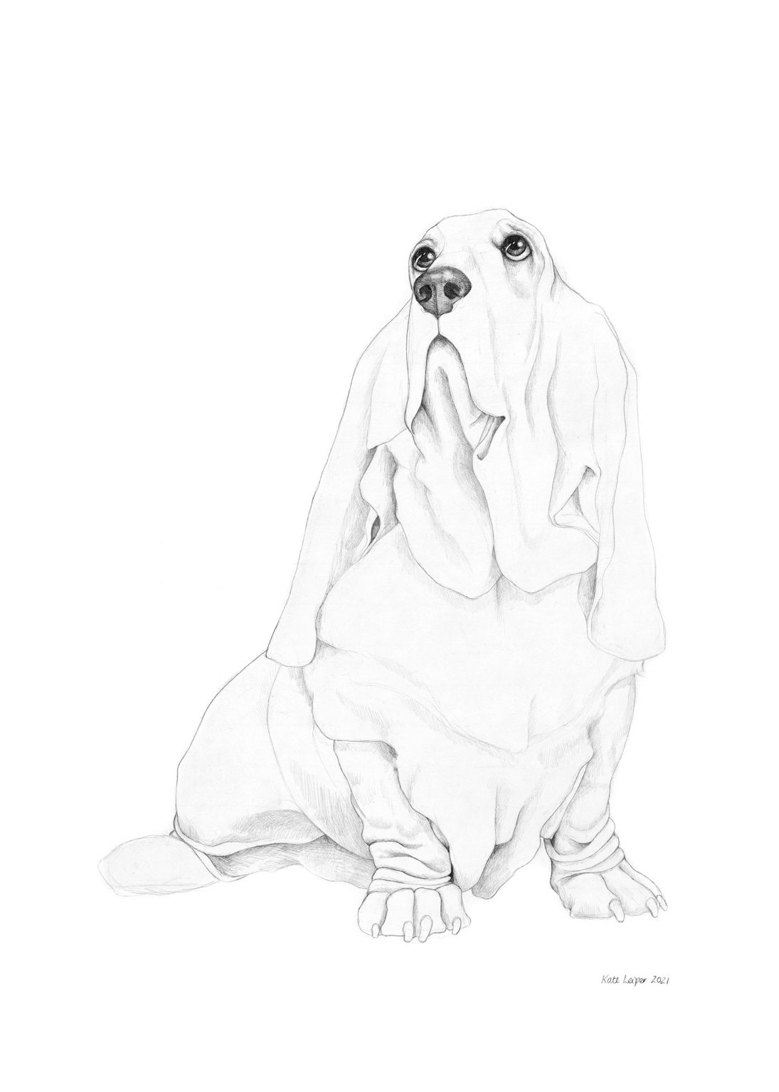 BASSET STUDY II - The Red Dot Gallery