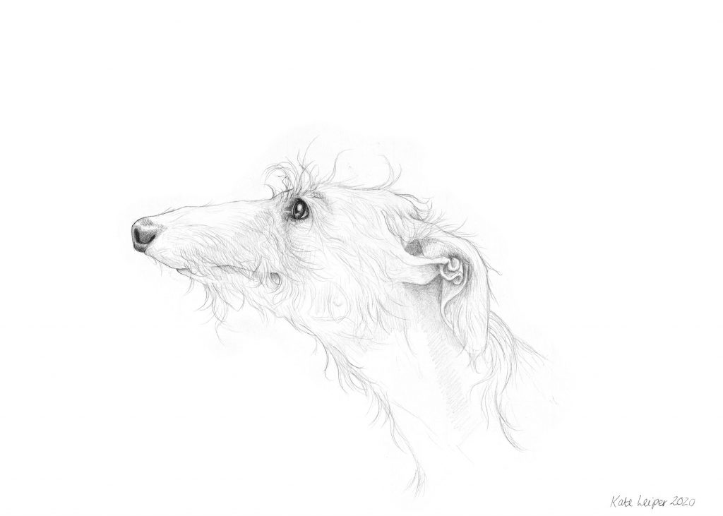 LURCHER PORTRAIT - The Red Dot Gallery
