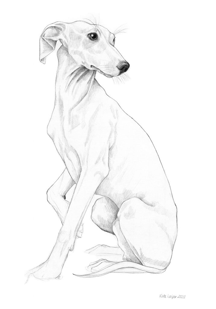 Kate Leiper Originals Archives - The Red Dot Gallery