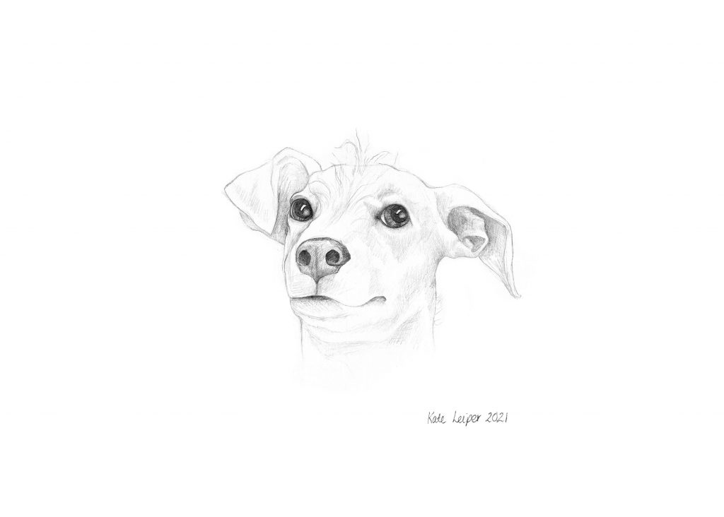 Kate Leiper Originals Archives - The Red Dot Gallery