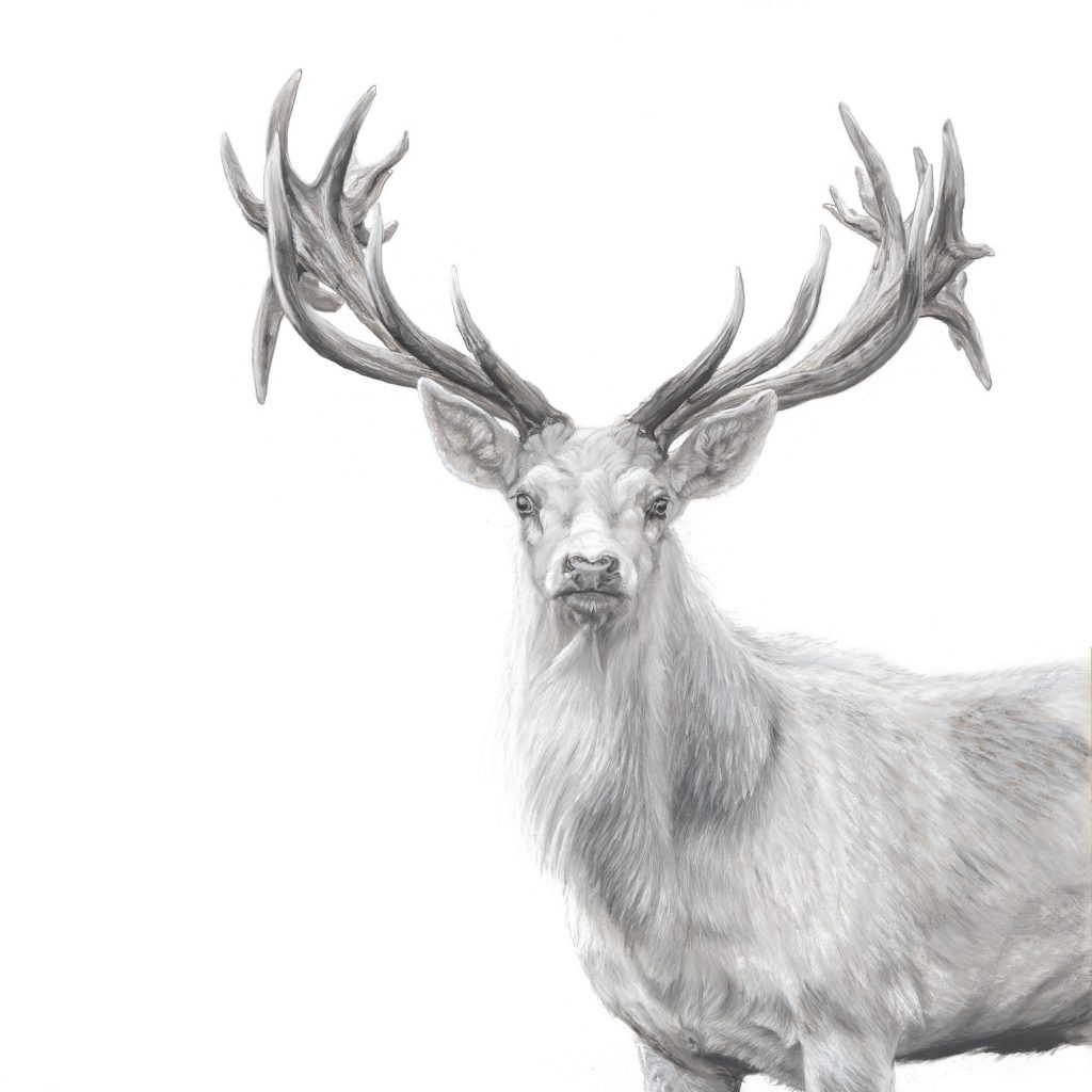 Lucy Boydell Archives - The Red Dot Gallery